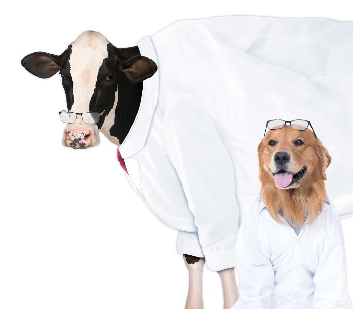 Animal Pharmacy Online | Blain's Farm & Fleet Animal RX