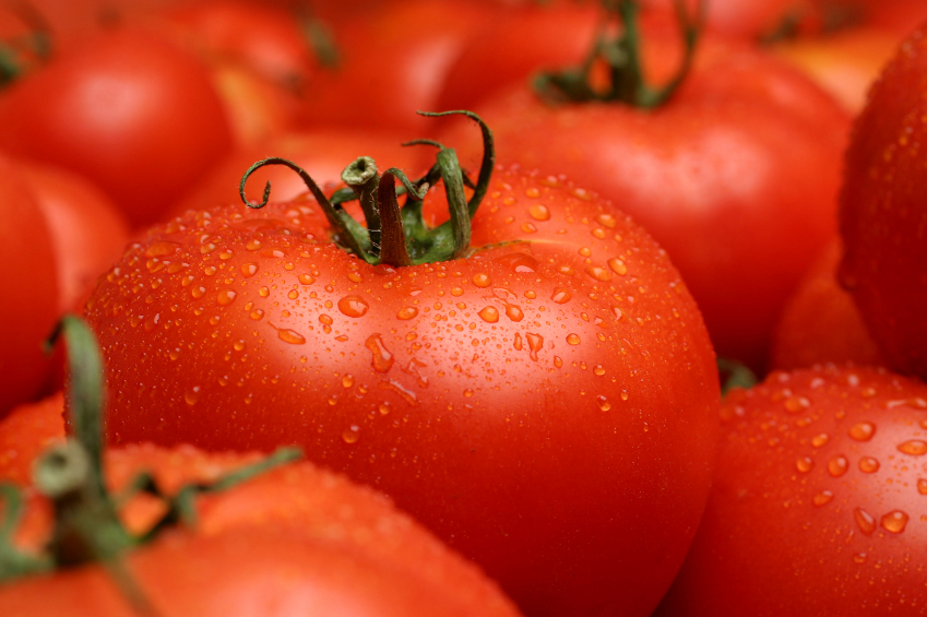 How To Can Tomatoes | Blain's Farm & Fleet Blog